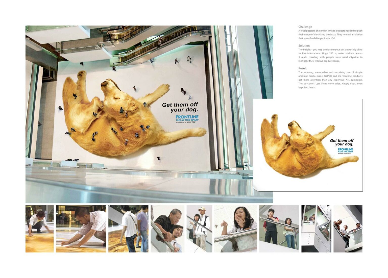 Your Guide to Planning a Sticker Marketing Campaign | PrintPlace